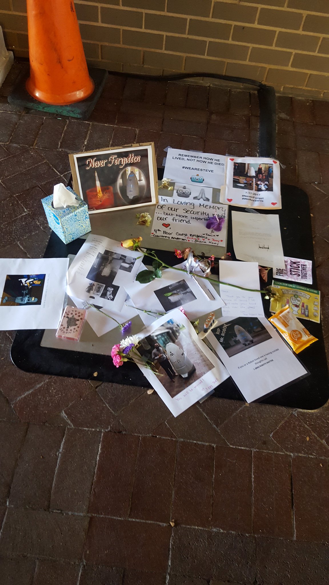 Robot commits suicide after being gifted with intelligence