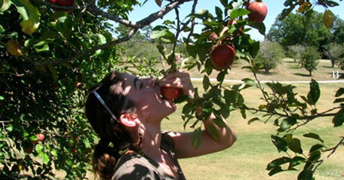 Atlanta Turns 7-Acre Vacant Lot into Largest Free Food Forest In Country