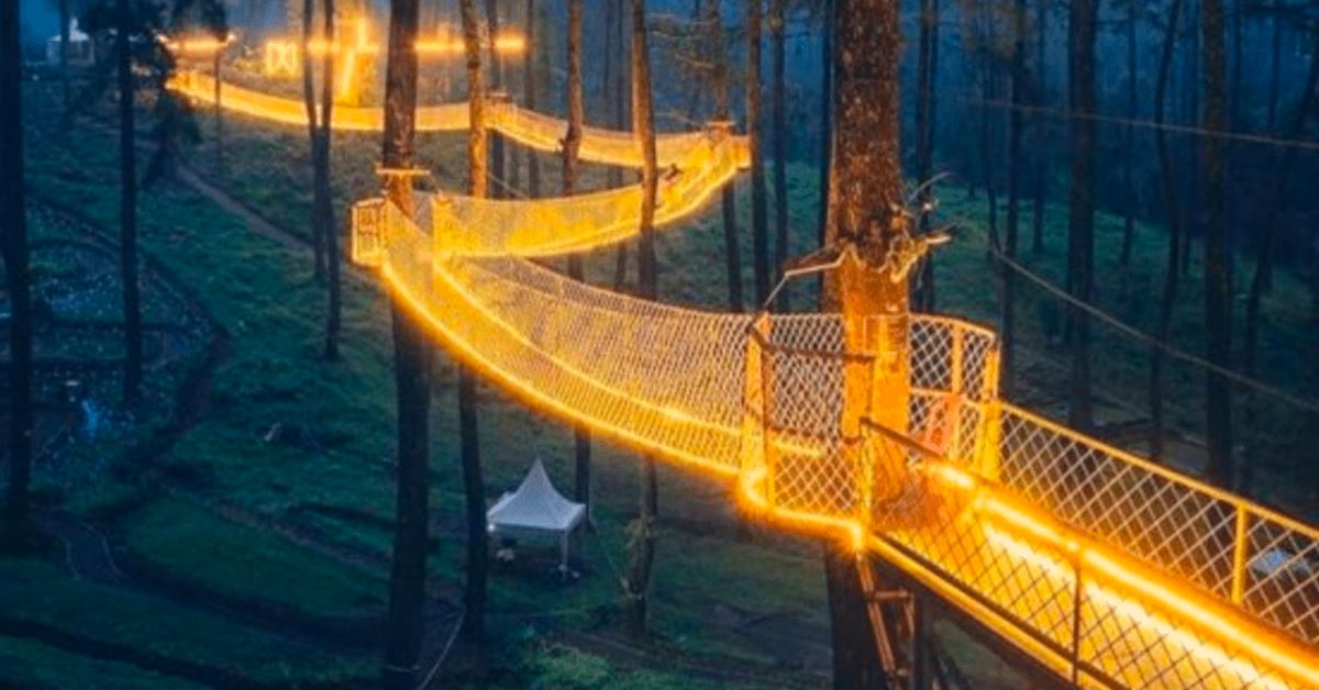 Treetop Skywalk In Tennessee Has The Longest Tree-Based Bridges In America