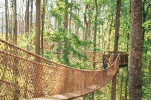 Treetop Skywalk In Tennessee Has The Longest Tree-Based Bridges In America