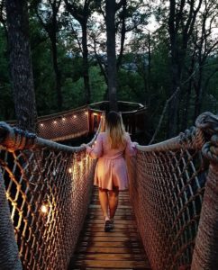 Treetop Skywalk In Tennessee Has The Longest Tree-Based Bridges In America