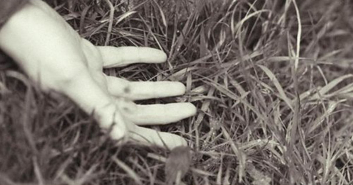 Dead bodies keep moving for more than a year : The Premier Daily