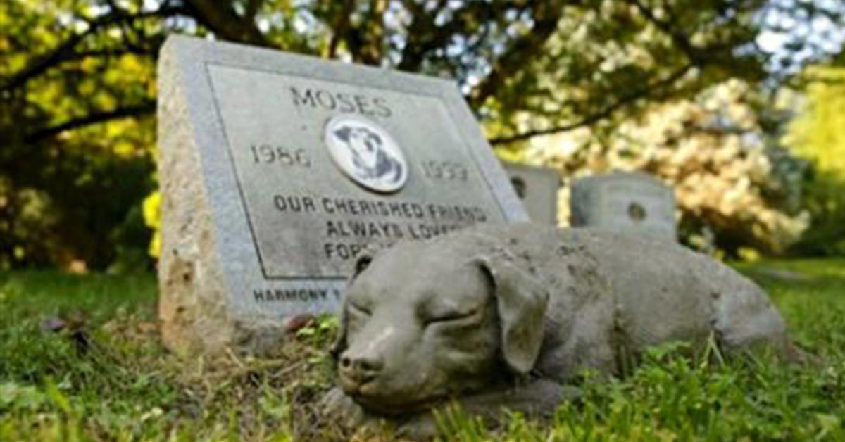 Law Allows Pets To Be Buried With Humans : The Premier Daily