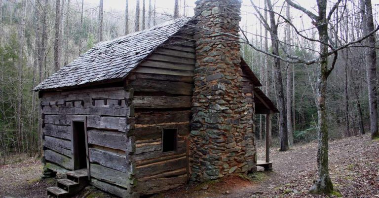 The man who has lived as a hermit for 40 years