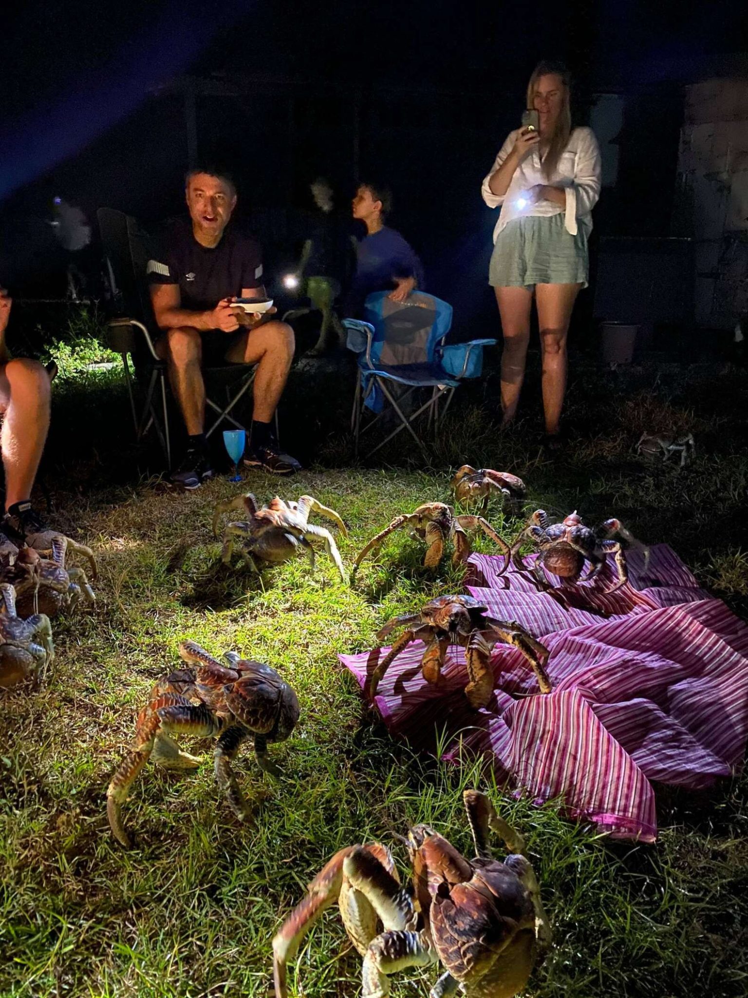 Dozens of giant coconut crabs crash family's quiet picnic to steal ...