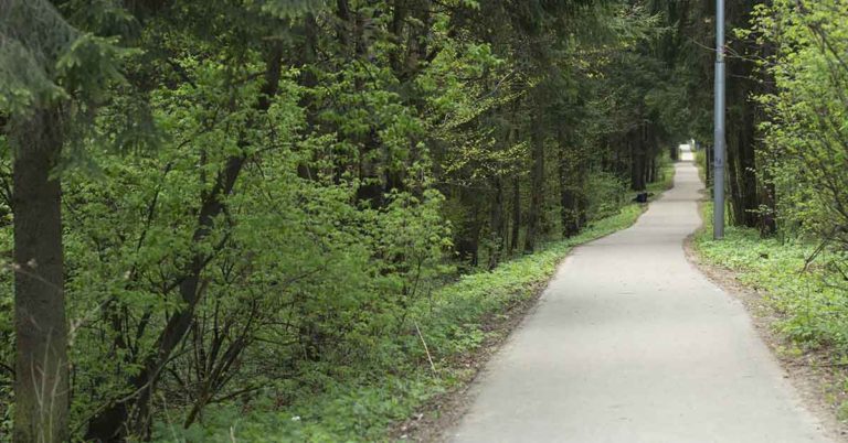 Longest Walkable Distance On Earth Which No One Is Known To Have ...