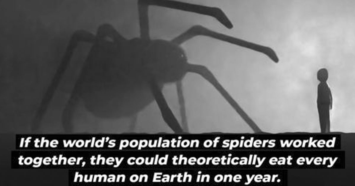 31 Rare Facts to Surprise Even the Most Knowledgeable Person