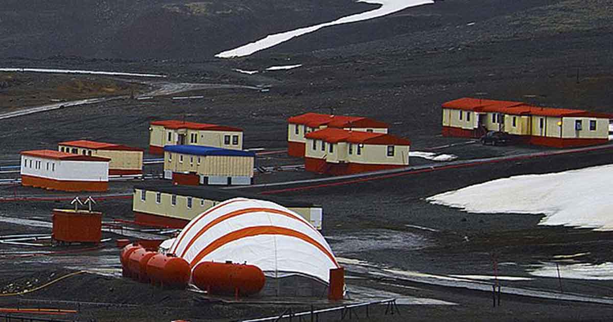 Town in Antarctica requires residents to have appendix removed to live ...