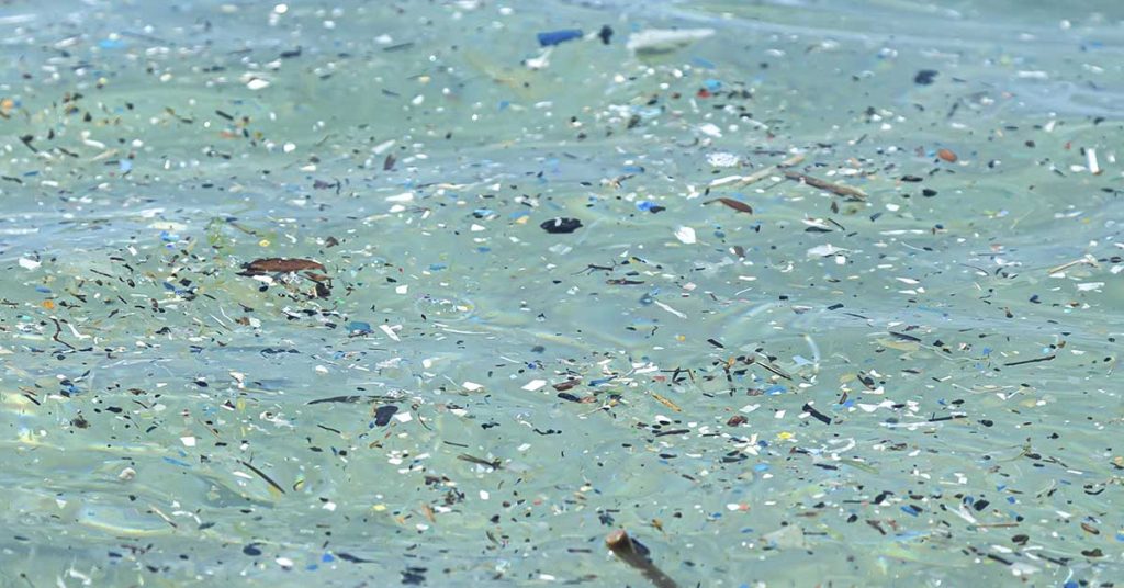 3D Printed Fish Filters Mircoplastics from Lakes : The Premier Daily