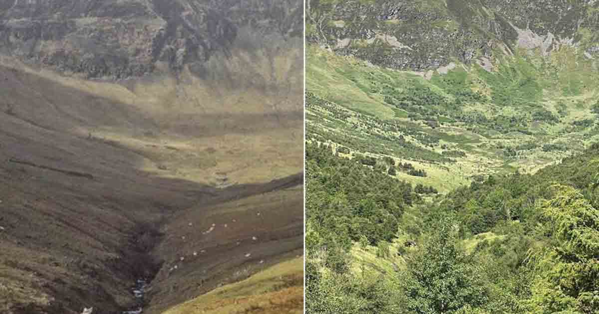 Before and after photos reveal stunning transformation of Scottish ...