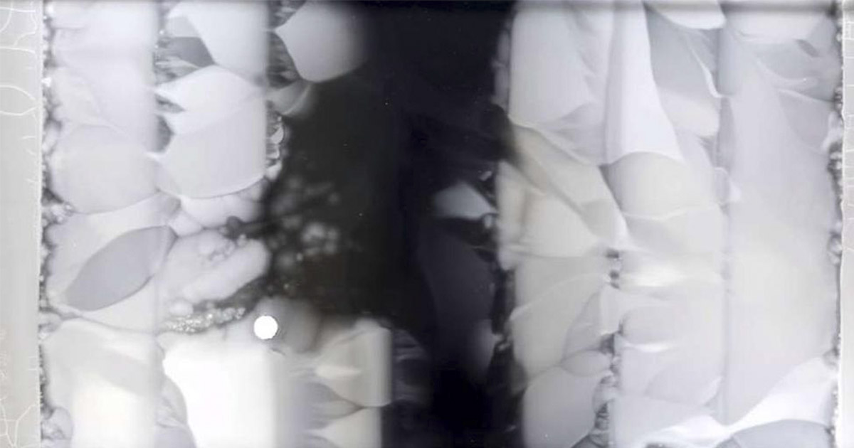 Leading Scientist Warns There's An Apocalypse Coming, And It's Not The ...