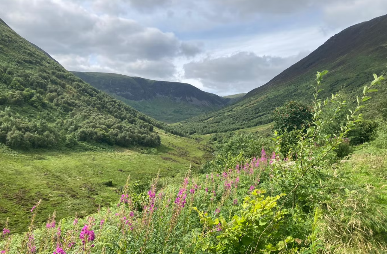 Before and after photos reveal stunning transformation of Scottish ...