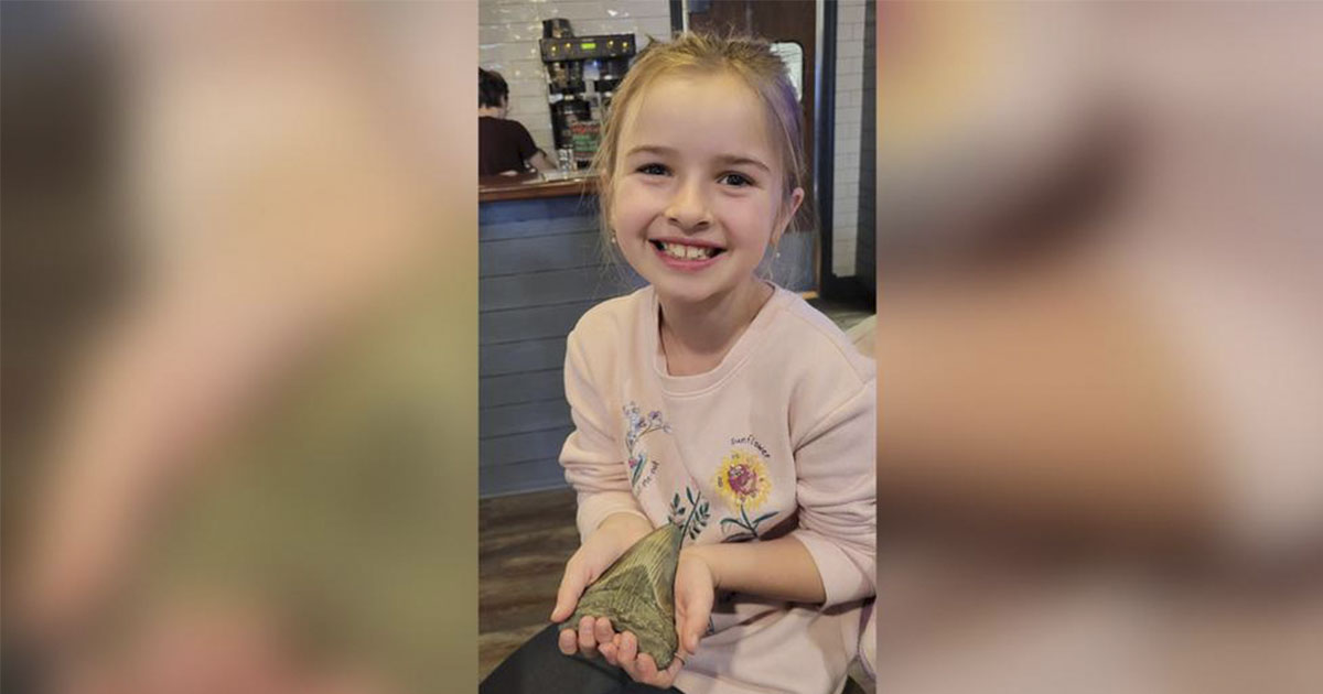 Girl finds "once-in-a-lifetime" shark tooth from ancient 50-foot ...