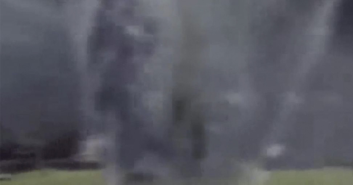 Fish won't stop raining from the sky in rare weather phenomenon : The ...