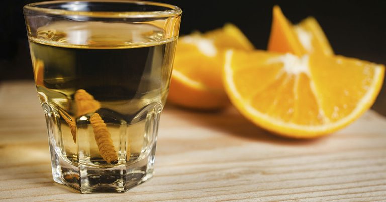 Mezcal Worm in a Bottle: DNA Testing Yields Unexpected Results