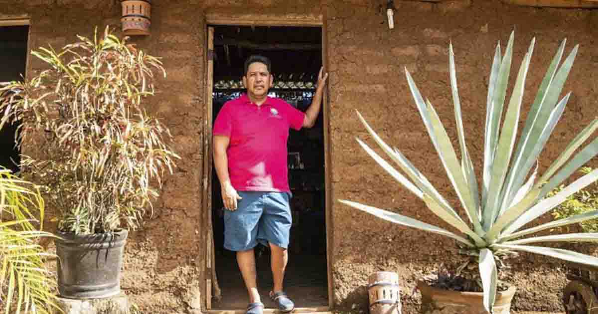 Gardener Turns Piles of Beached Seaweed Into Bricks for Sustainable ...
