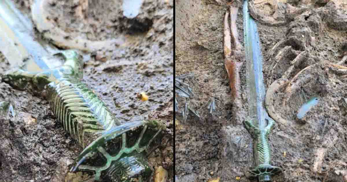 ‘Extremely rare’ and well-preserved 3,000-year-old sword has been ...