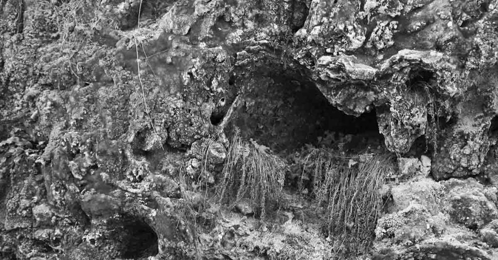 The Excruciating Death of Floyd Collins, Cave Explorer : The Premier Daily