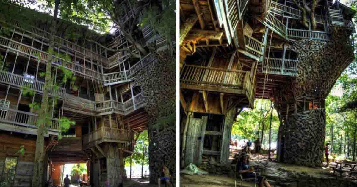 Man Spent 14 Years To Build The Largest Tree House In The World, But ...
