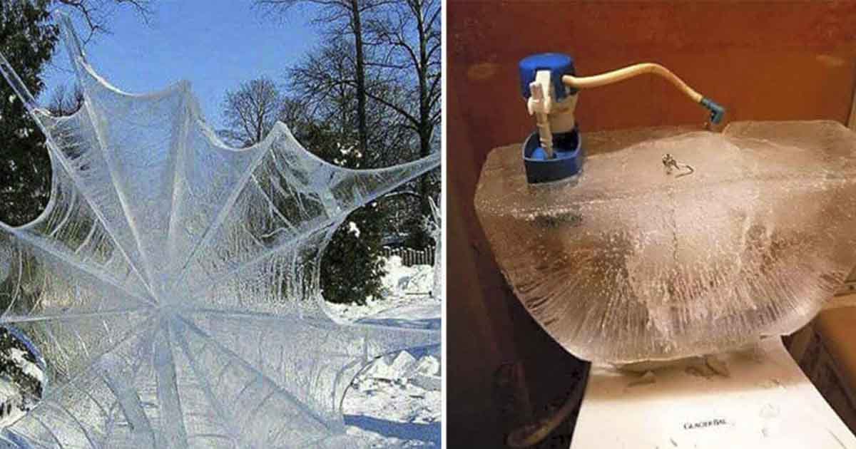 50+ Mysterious Things Found Trapped in Ice