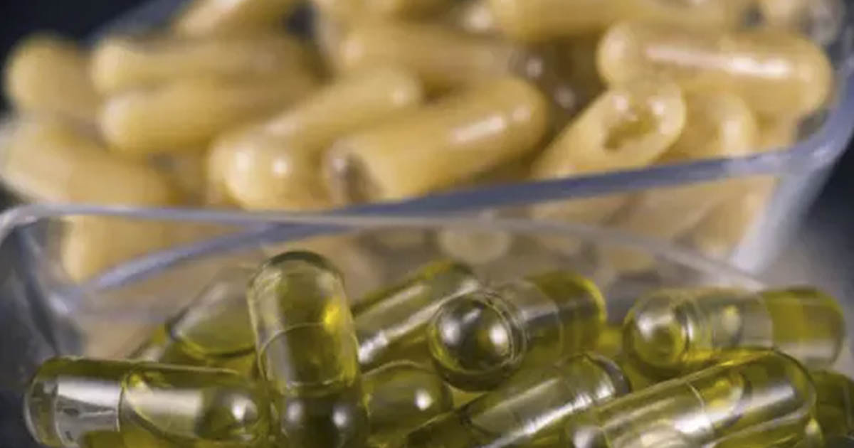 6 Non-Marijuana Plants that are High in Cannabinoids : The Premier Daily