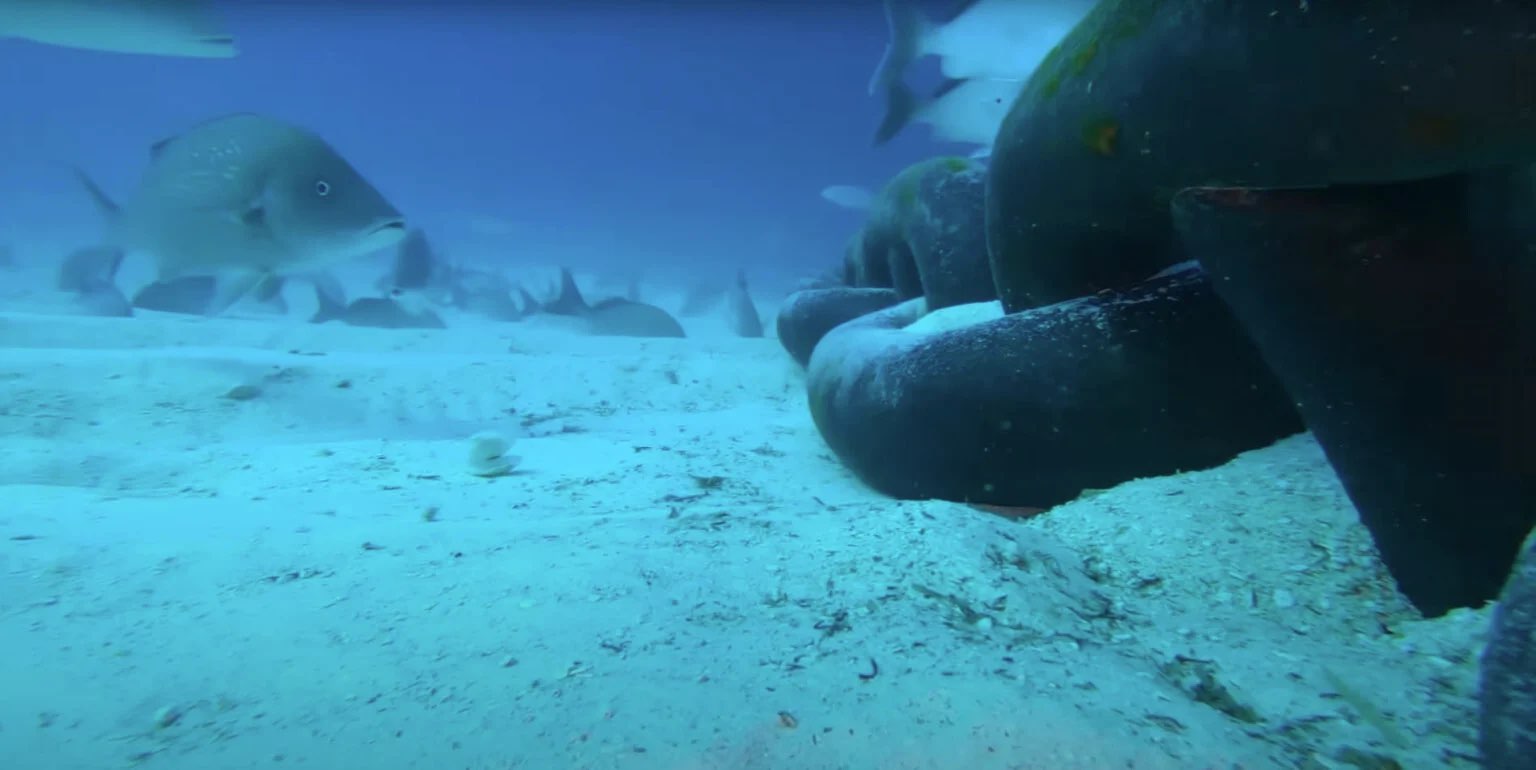 GoPro Footage Shows What Lurks Underneath a Cruise Ship, and it’s a ...