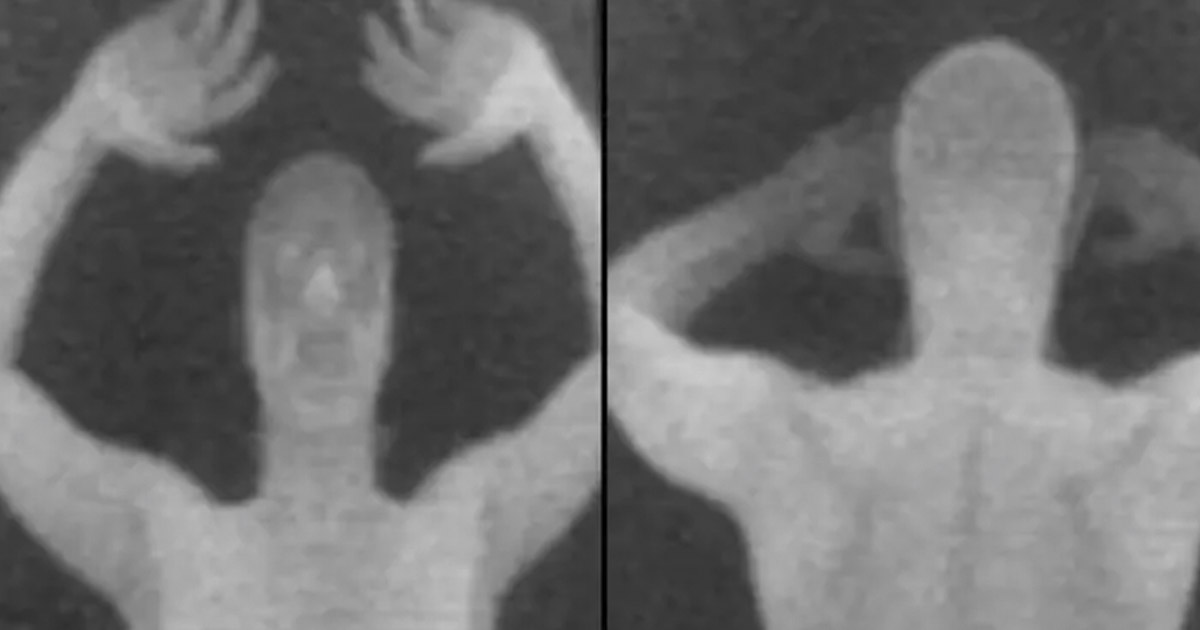 People Shocked at What Airport Security Can Actually See When You Walk ...