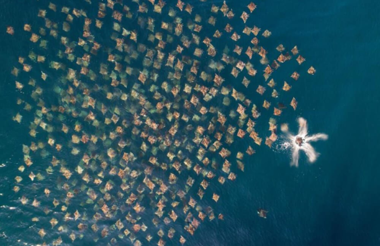 Drone Photography: 30 Stunning Images Captured By Drones