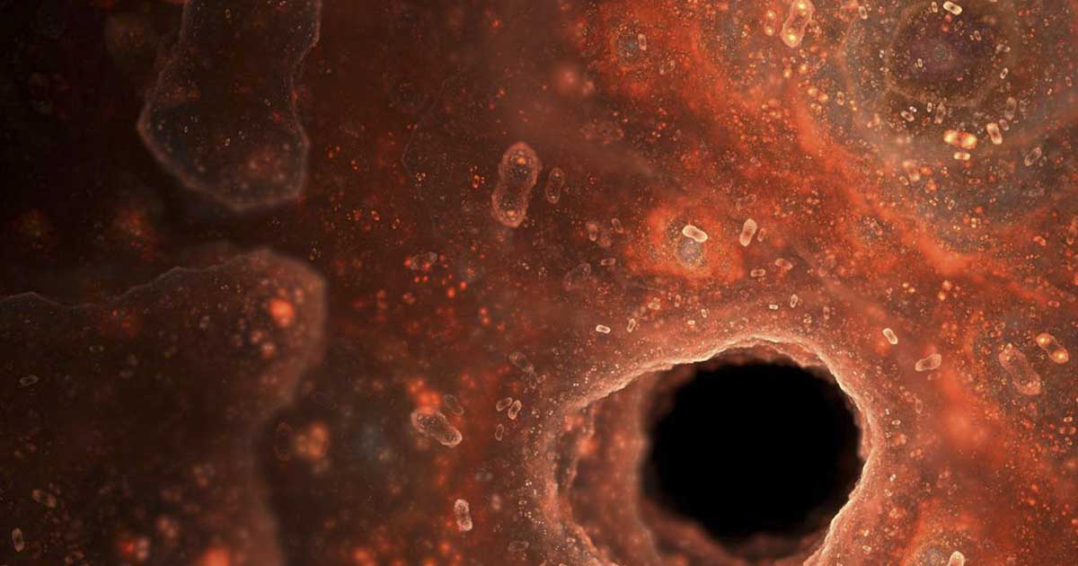 Strange 'Obelisks' Discovered in Humans. What Are They? : The Premier Daily