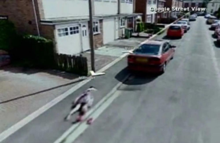 40+ Funny Moments Captured By Google Street View