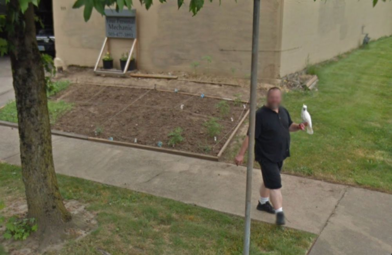 40+ Funny Moments Captured By Google Street View