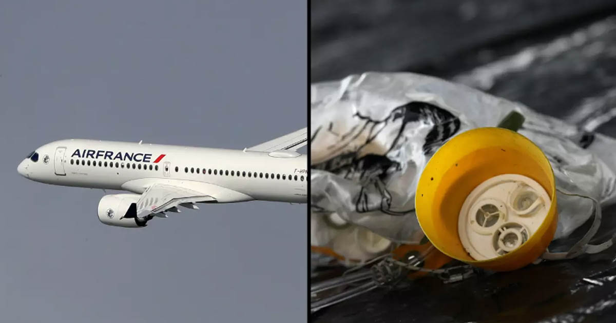 Pilot’s Chilling Finals Words Before Air France Plane Plumetted Into ...