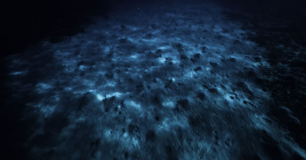 Footage Shows Sub On Ocean Floor Come Into Contact with ‘Deep-Sea ...