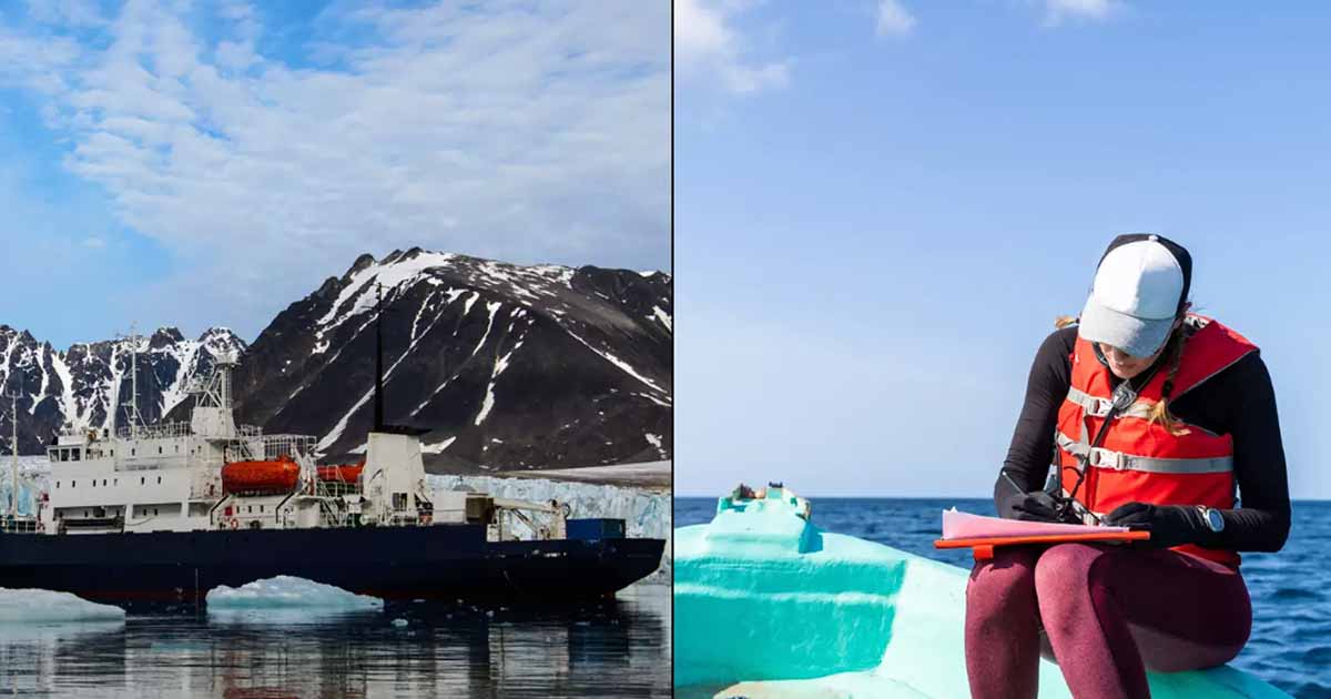 Researchers Discover ‘Treasure Trove’ at Bottom of Arctic Ocean That ...