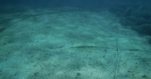 The Deep Sea 'Lifeline' That Keeps the Internet Connected - The Premier ...